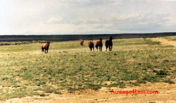 (SOLD) WYOMING 160 ACRES LOCATED IN STRATTON / RINER RANCH - $44,995 ...